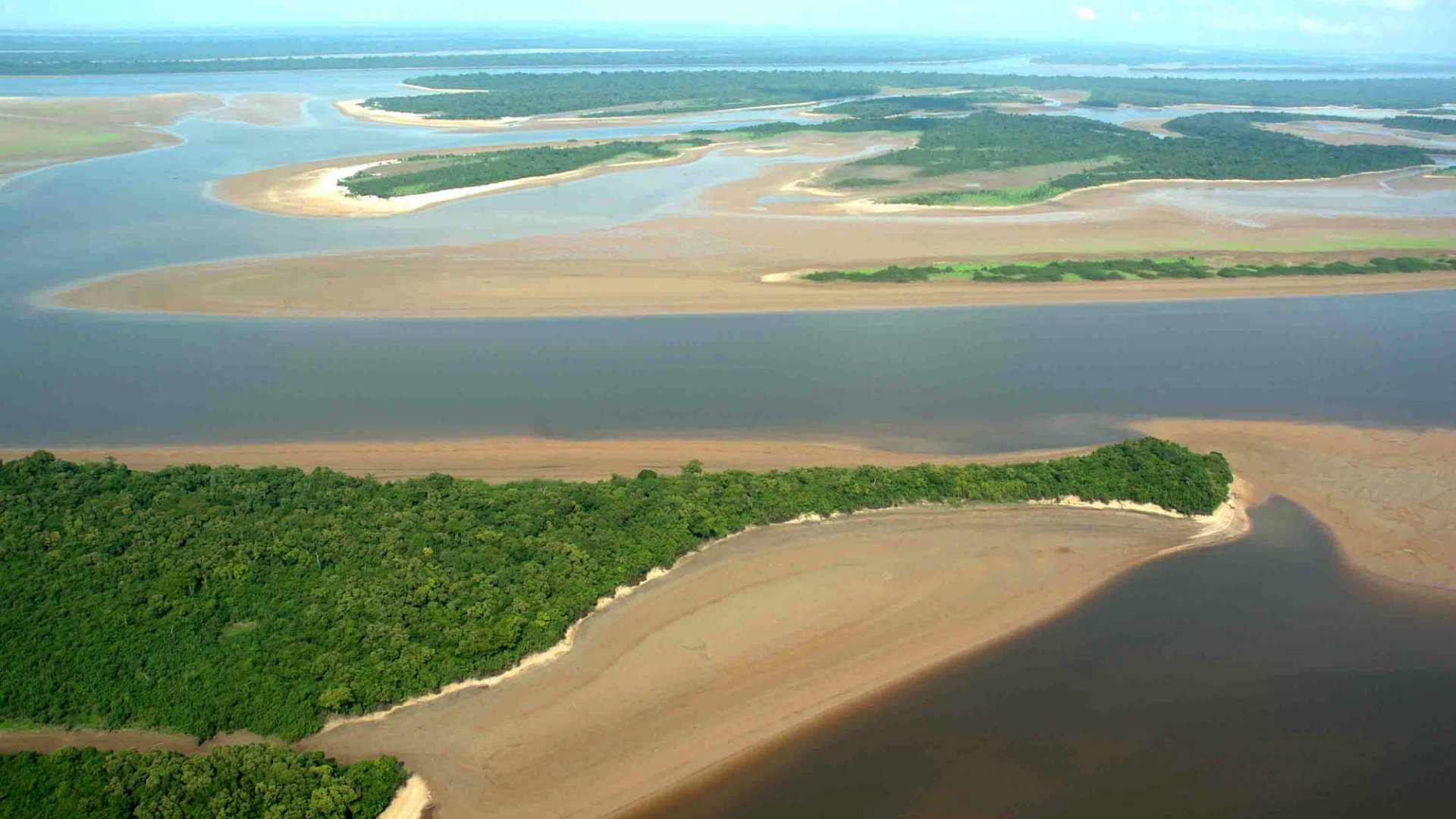 La nueva aventura de Google Maps está en la selva amazónica | El Estímulo