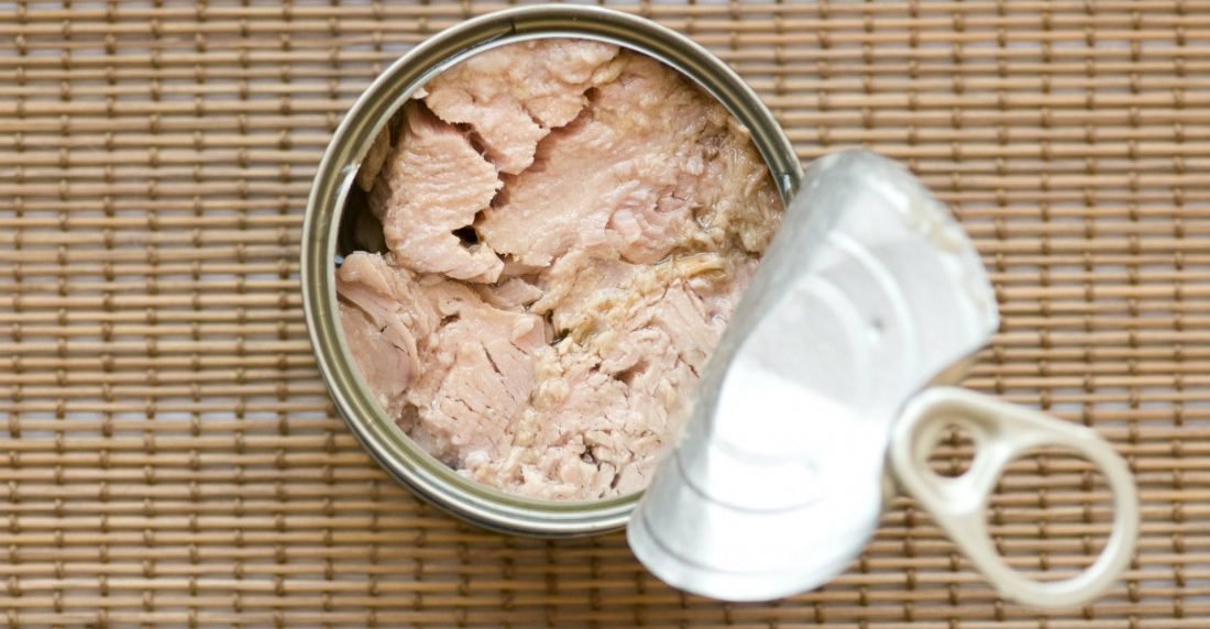 Planta de Atún Margarita tiene materia prima hasta el 15 de agosto | El ...