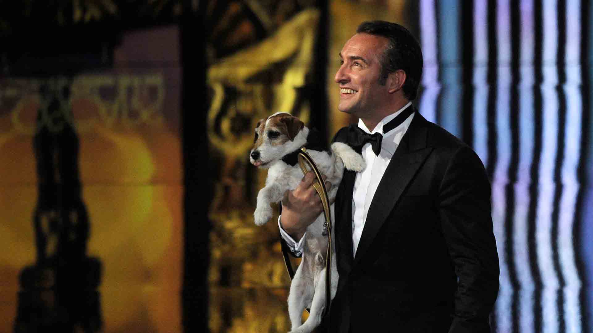 Muere el perro Uggie, la mascota de la película "The Artist" | El Estímulo
