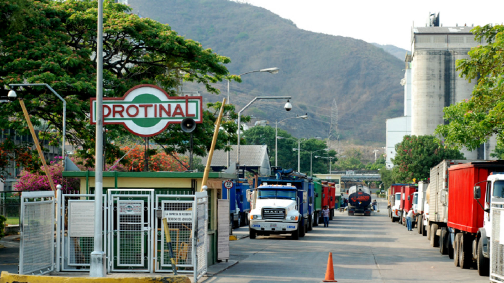 Proagro-Protinal reactiva 16,67% de la producción de alimentos para ...