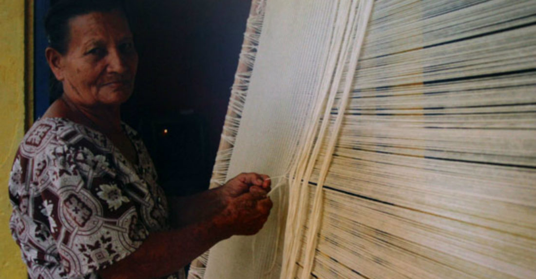 Cultivo de curagua en Venezuela es Patrimonio Inmaterial de la ...