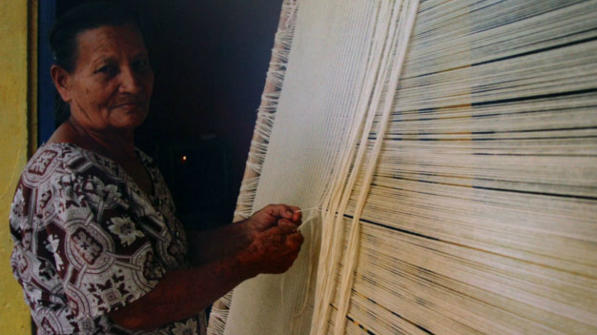 Cultivo de curagua en Venezuela es Patrimonio Inmaterial de la ...
