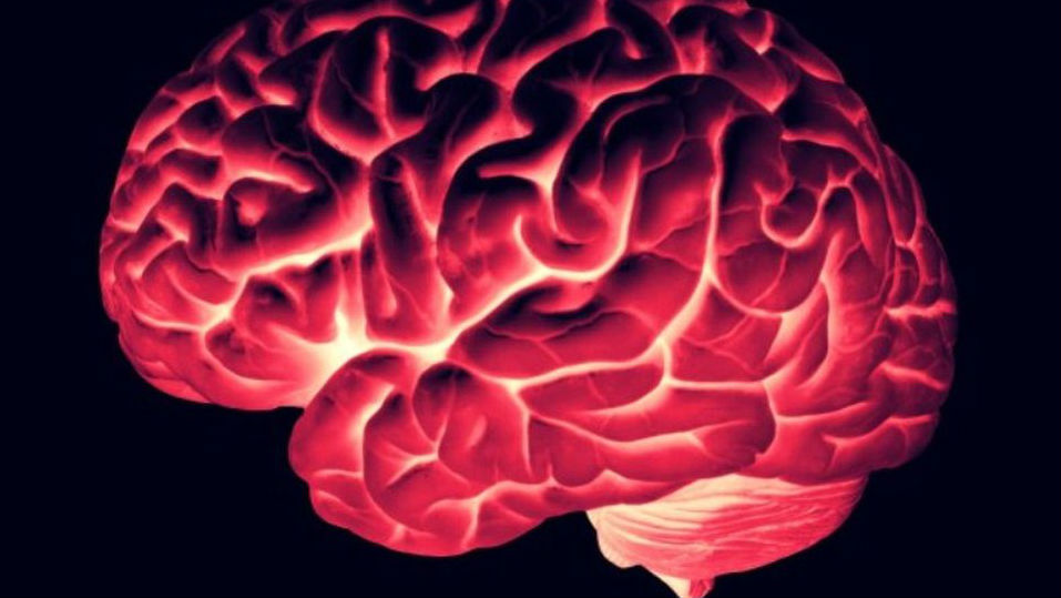 Nueva técnica de neuroimagen muestra los efectos del LSD en el cerebro | UB