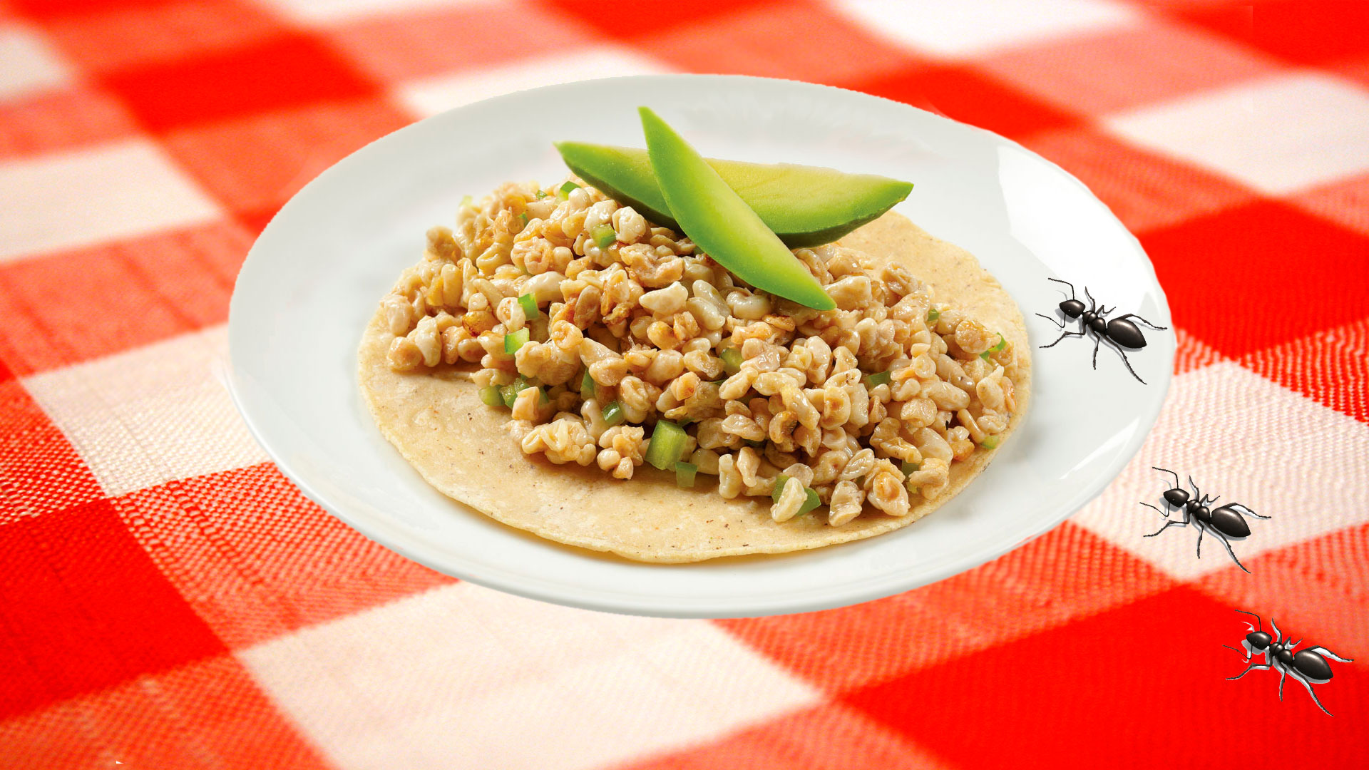 Escamoles: el "caviar mexicano" de huevos de hormiga | Bienmesabe