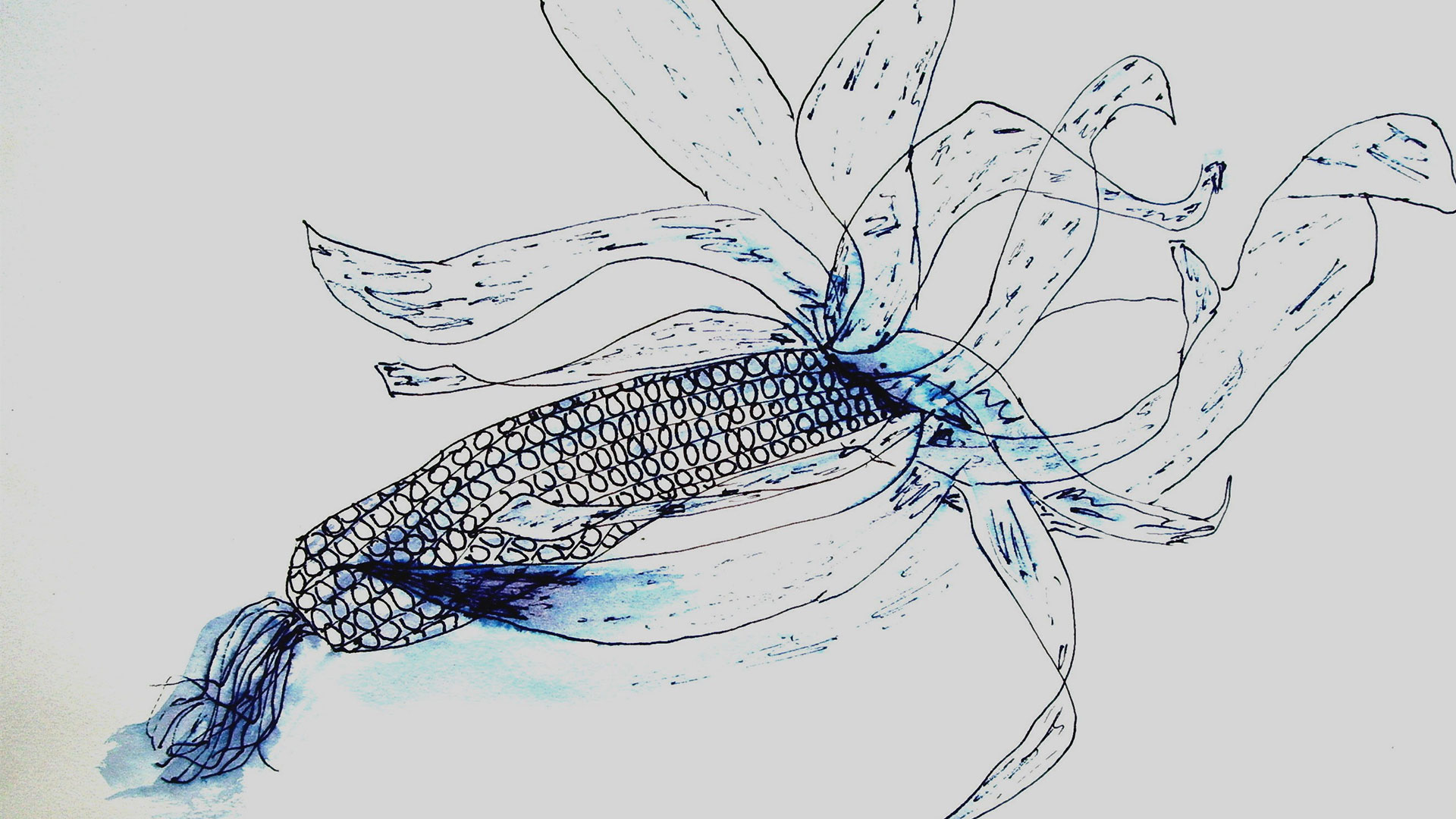 Diccionario wayúu: un encuentro de sabores | Bienmesabe