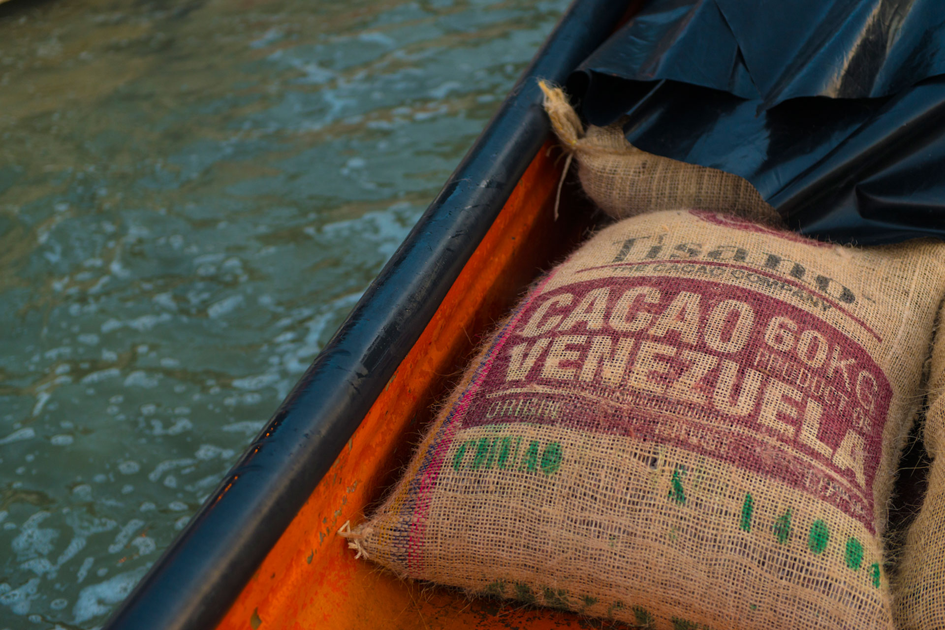 Los protectores del cacao de Chuao | Bienmesabe