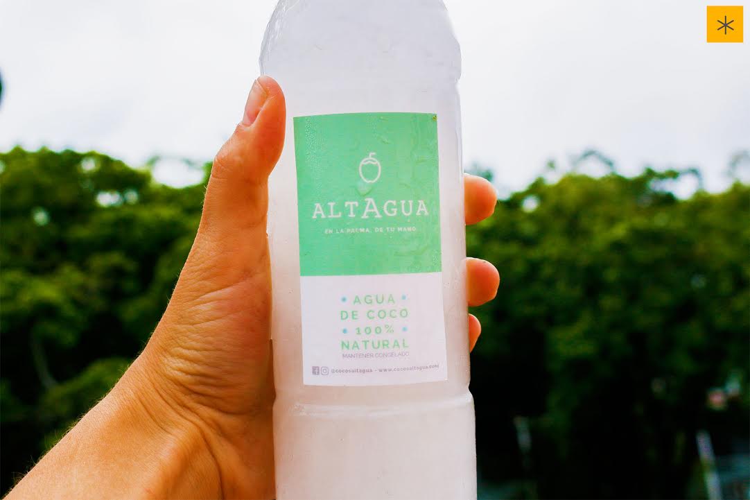 Cocos en la palma de tu mano | Bienmesabe