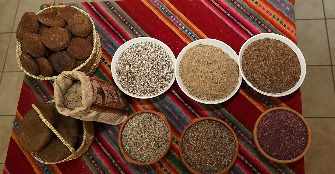 Cañahua, el nuevo grano de oro que Bolivia ofrece al mundo | Bienmesabe