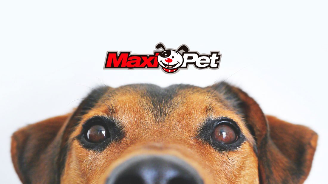 MaxiPet abre nueva tienda de mascotas con cafetería incluida | El Estímulo