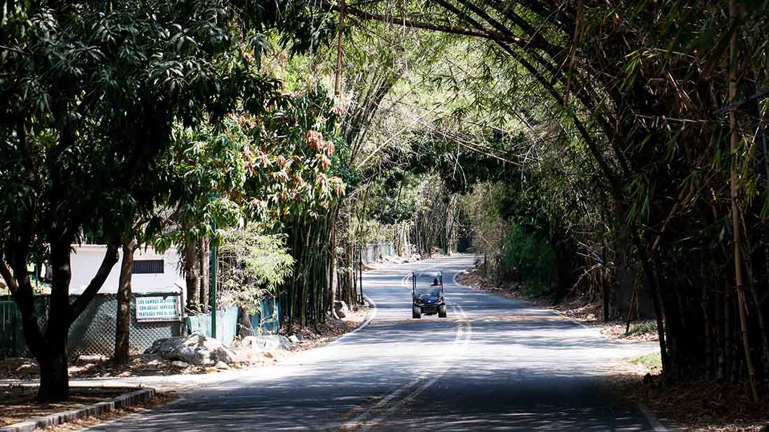 El Country Club de Caracas, cien años y tan verde | El Estímulo