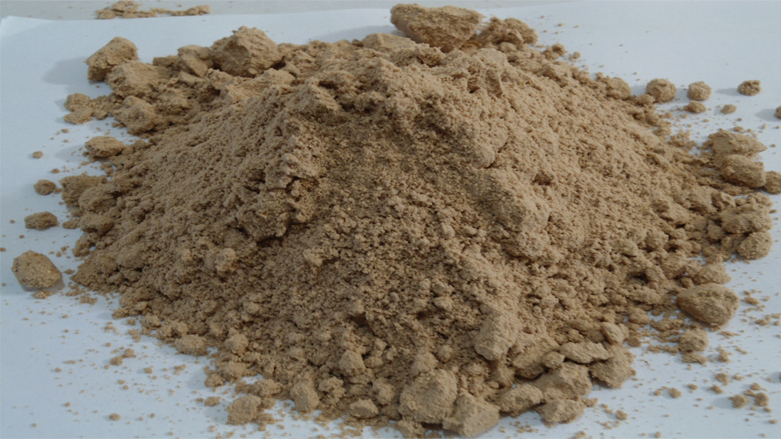 Fororo: Nutritiva alternativa en tiempos de escasez | Bienmesabe