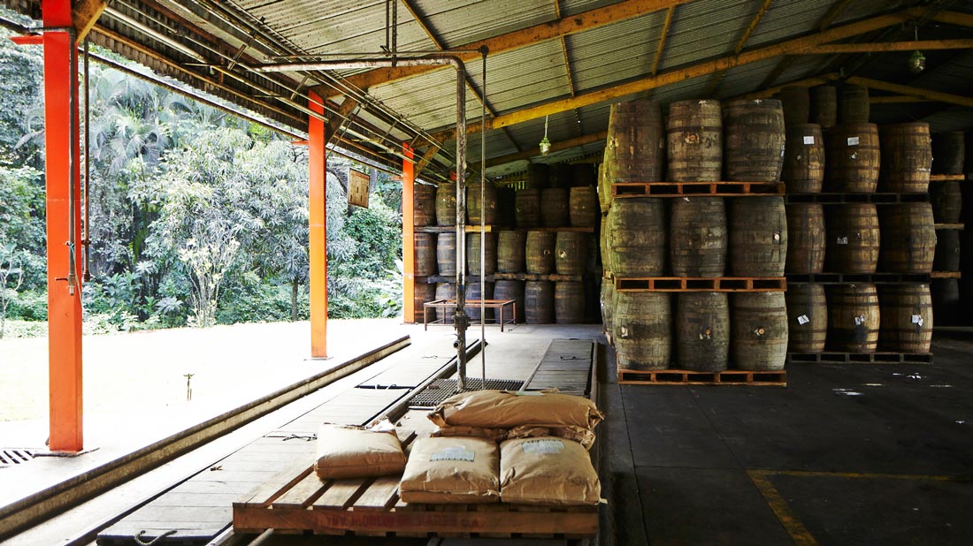 Ron de Venezuela celebra 15 años de su D.O.C. | Bienmesabe