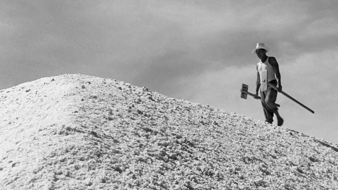 Araya, la hazaña del cine venezolano en Cannes | Clímax