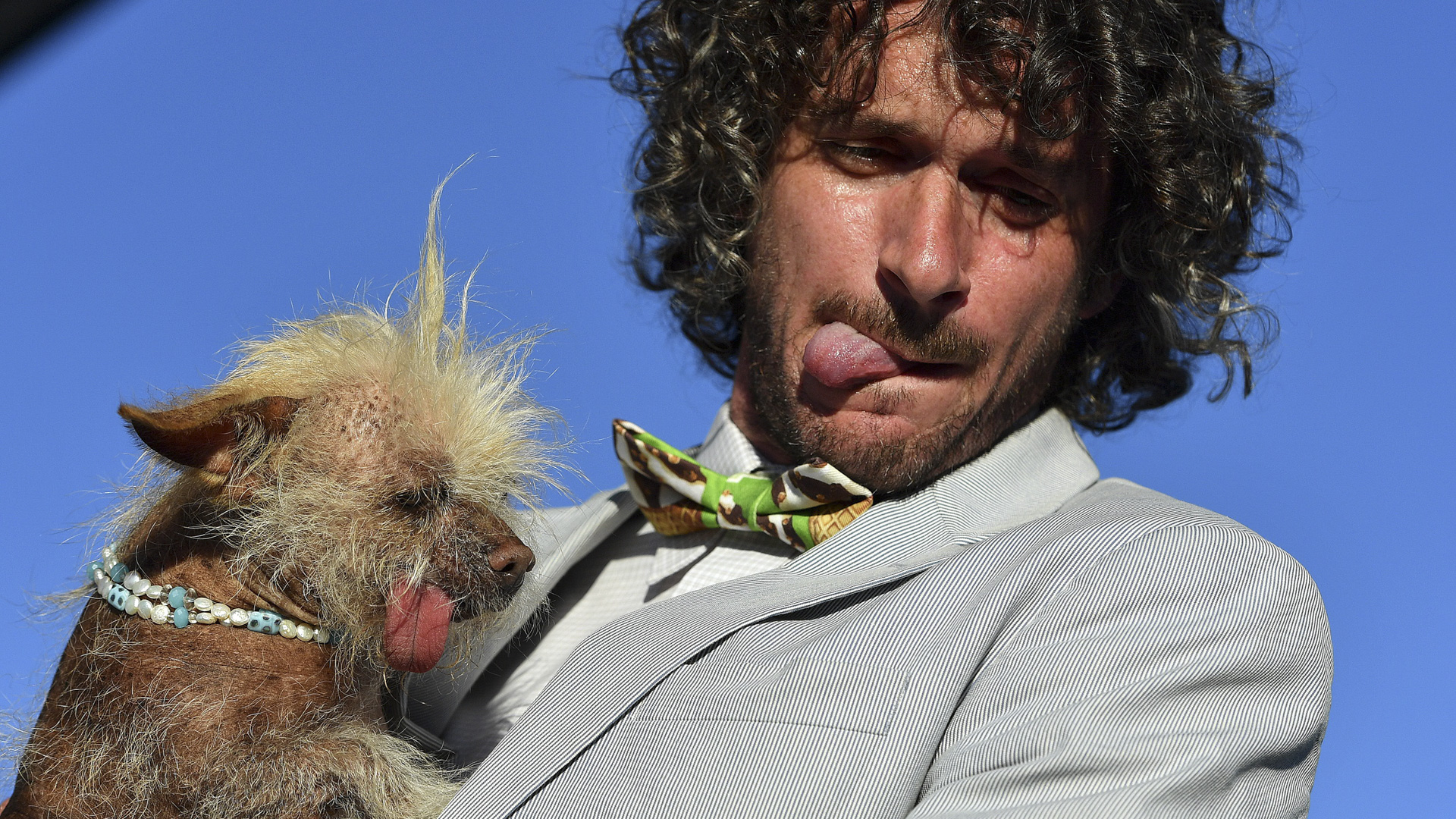 Sweetie Rambo es el perro más feo del mundo | El Estímulo