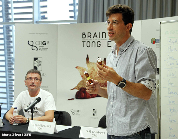 Científicos y chefs crearán platos adaptados a la genética de cada ...