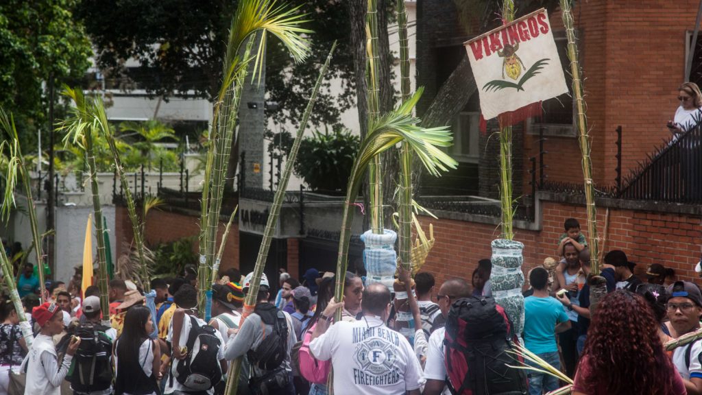 Palmeros venezolanos entra a lista de buenas prácticas de Unesco | El ...