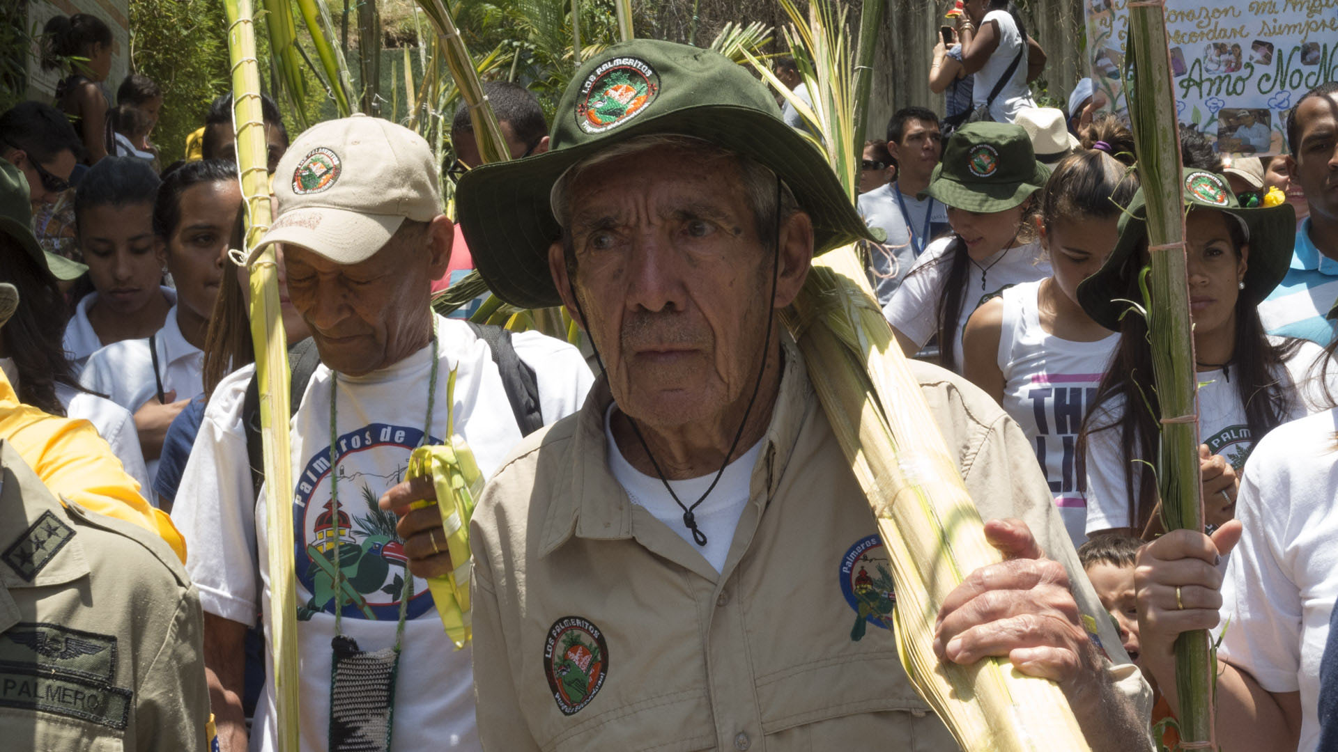 Palmeros de Chacao bajaron del Ávila entre pasión, rumba y política ...