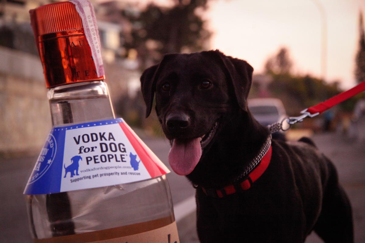 Tito's, el vodka #1 "on premise" en EEUU, llega a Venezuela | Bienmesabe