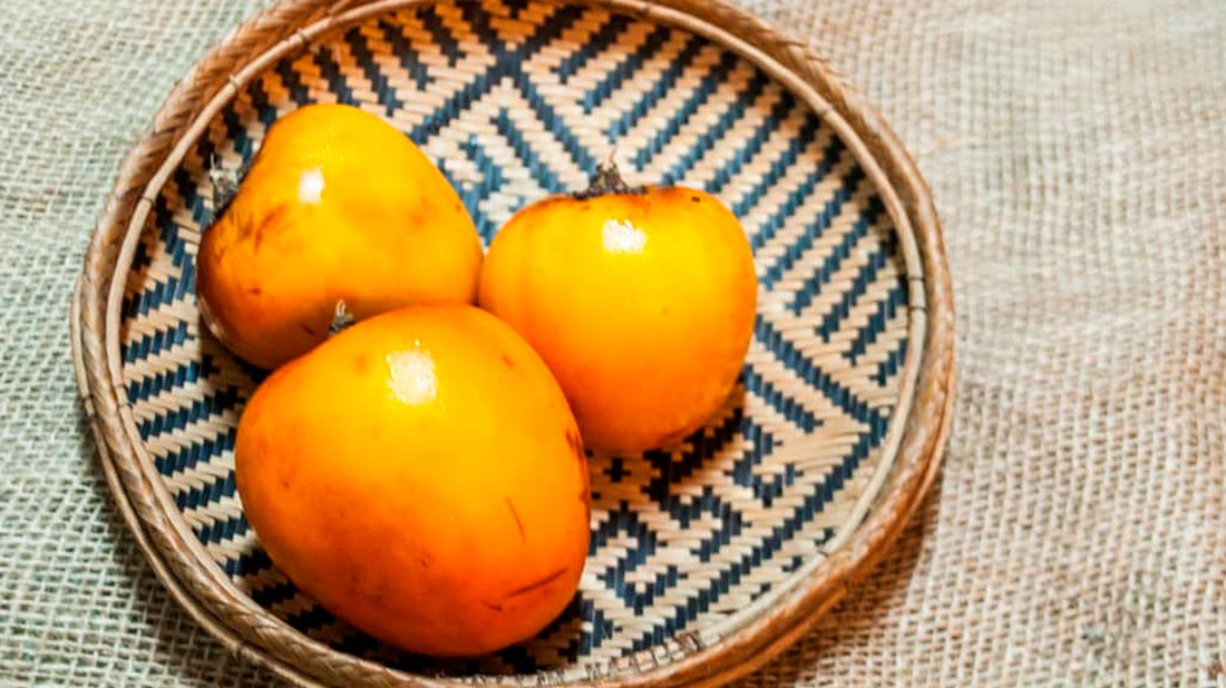 Sabores amazónicos afinarán paladares caraqueños | Bienmesabe