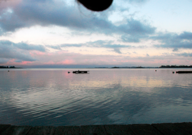 Nutscaping: la moda del paisaje "testicular" | UB