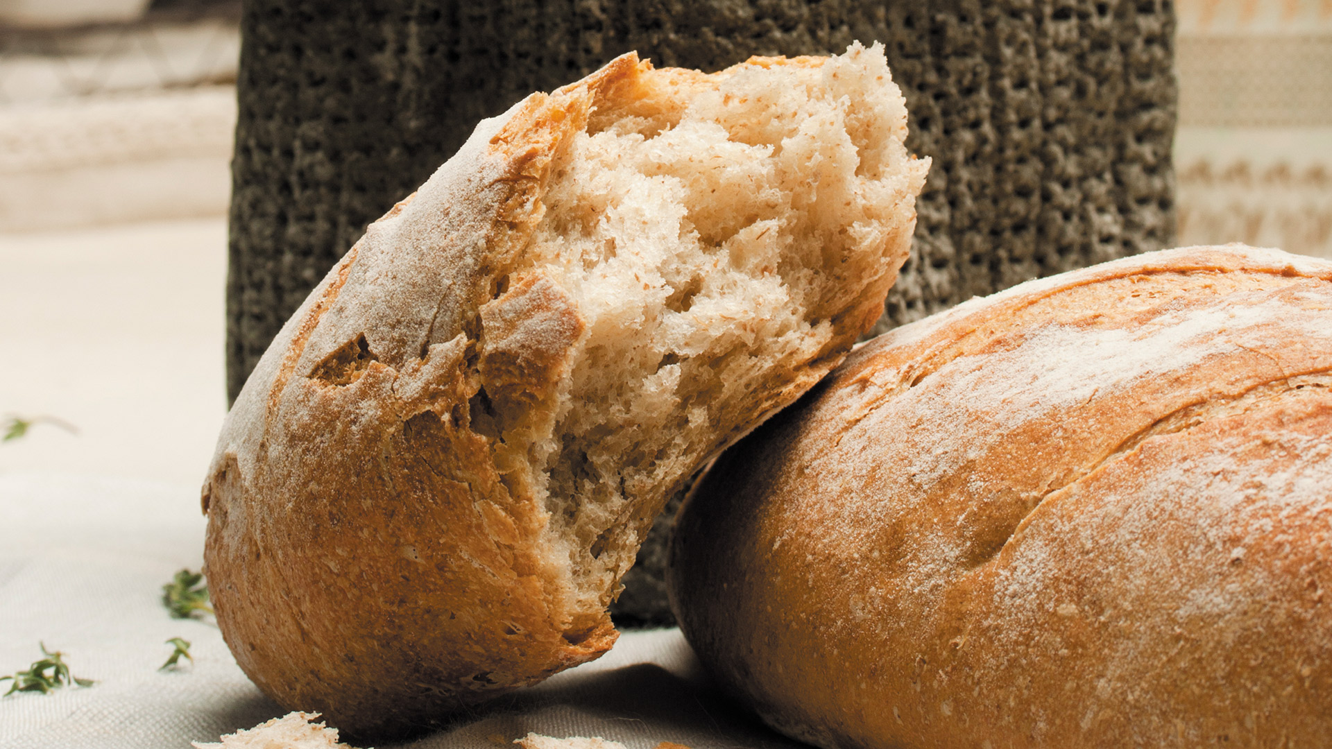 7 panes para recorrer Venezuela | Bienmesabe