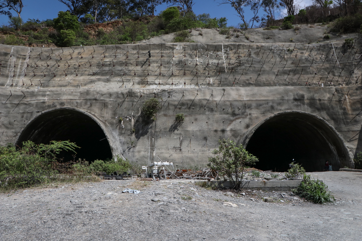 Un elefante rojo se ahoga en la Cota Mil | El Estímulo