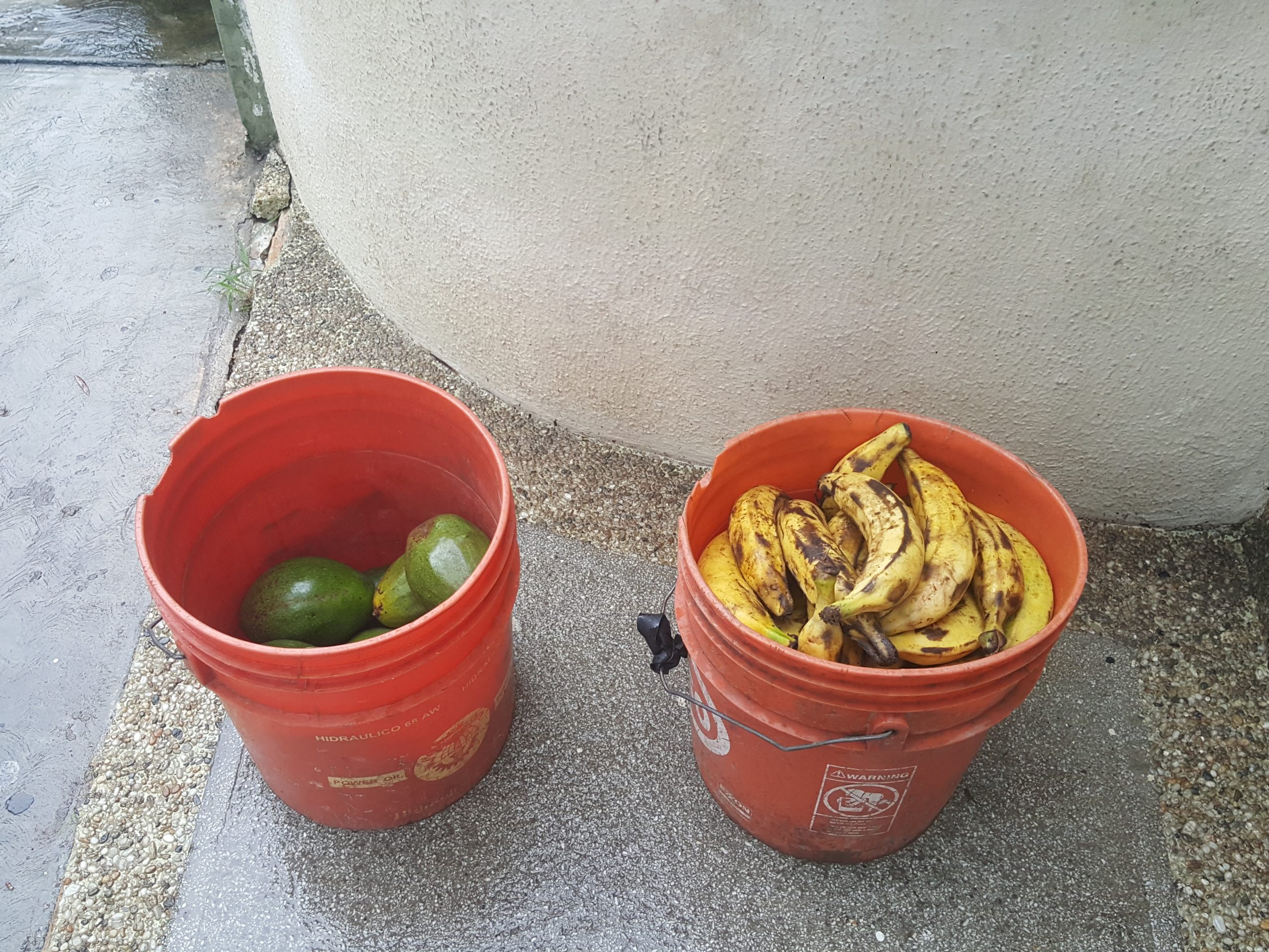 El trueque reaparece como una forma de sobrevivir en Venezuela | El ...