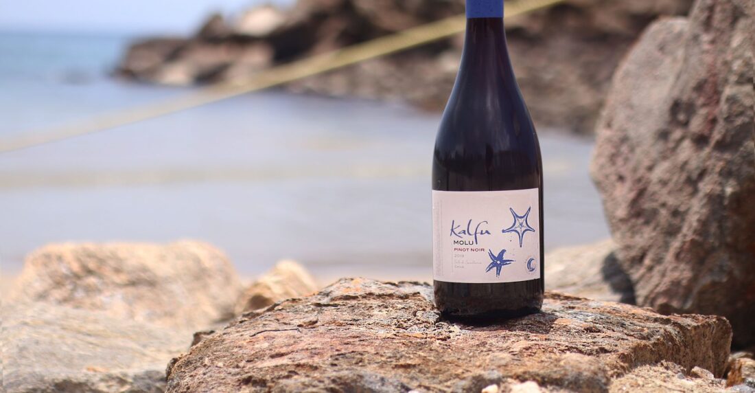 Los vinos Kalfu fusionan la cultura mapuche con la técnica neozelandesa ...