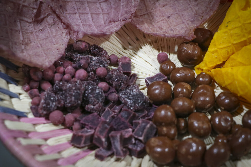 ¿Qué es la manaca o açaí? Conoce más sobre este espectacular fruto ...