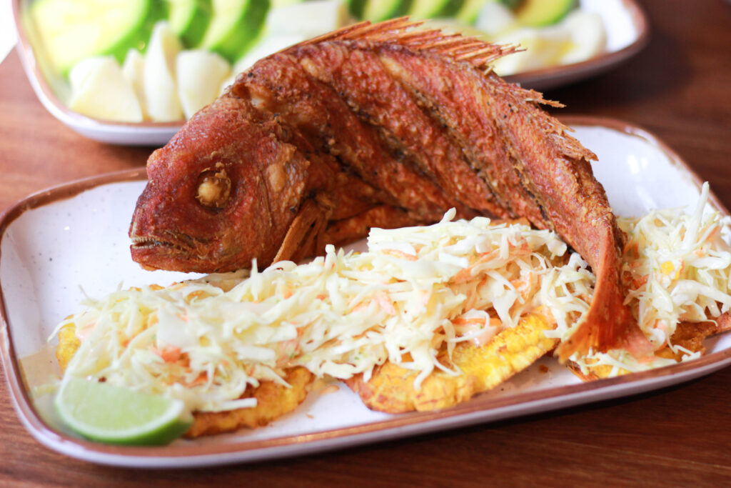 Top 9 de los pescados más comunes en Venezuela