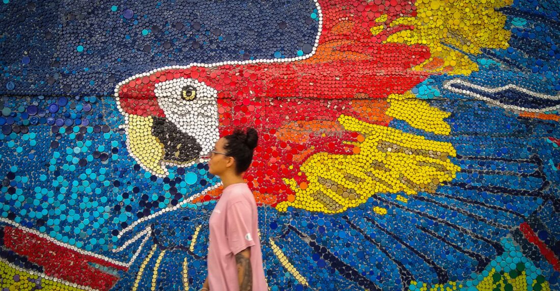 Guatire busca un Guinness: este es el mural de 300 mil tapas para ...