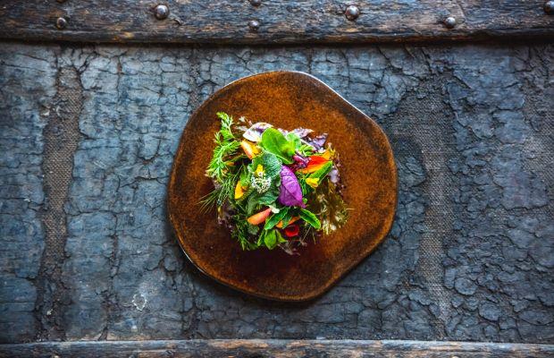 La boliviana Marsia Taha gana como mejor chef latinoamericana | Bienmesabe