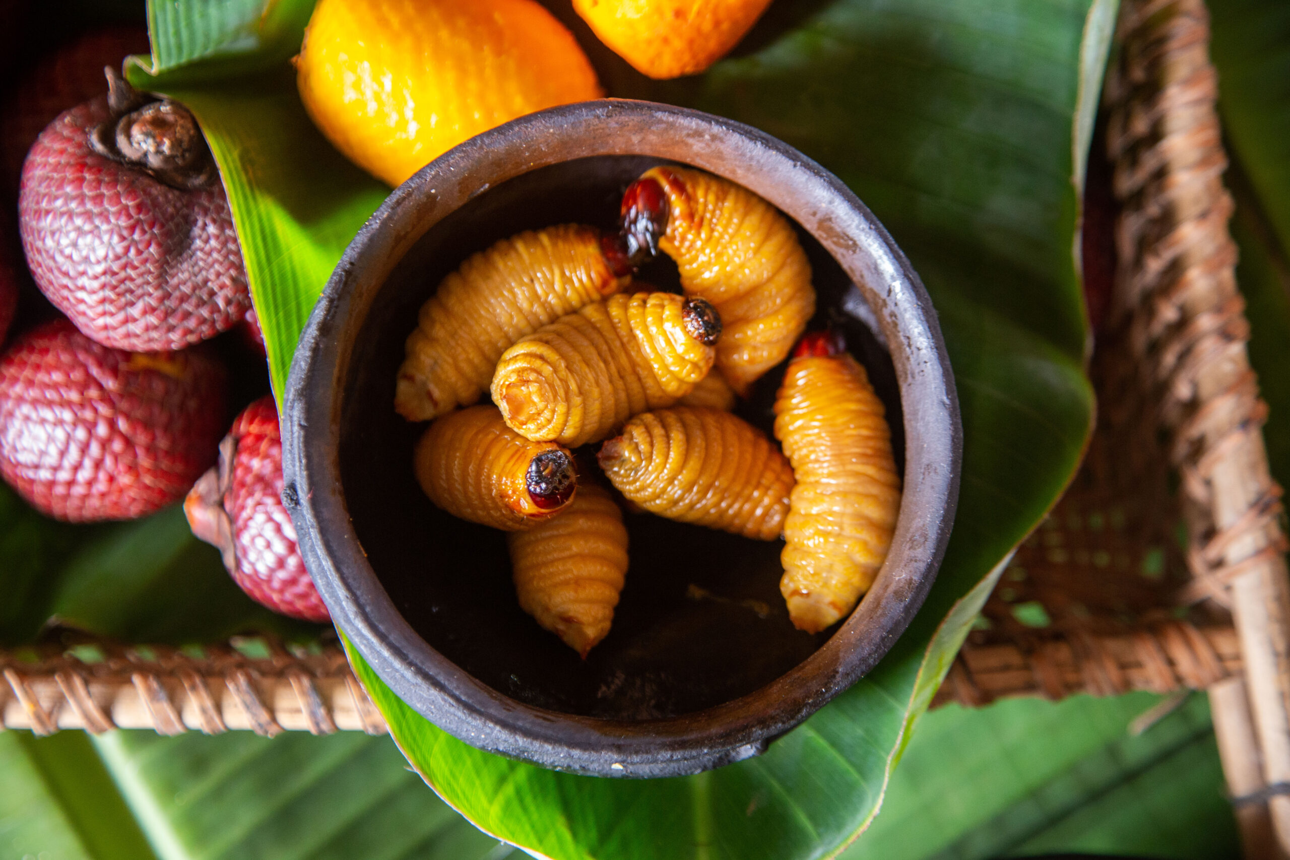 El fuego pemón: el libro de Lucy Quero que revela los sabores de ese pueblo