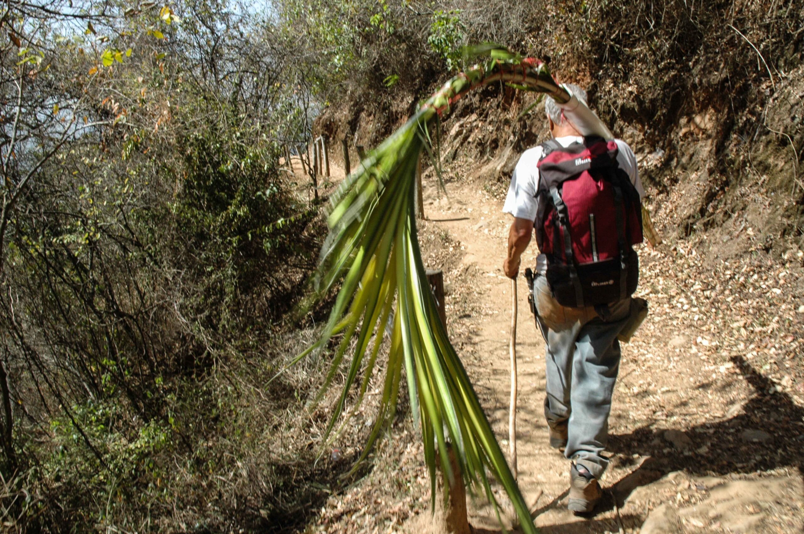 Palmeros de Chacao: así se vive la tradición que nació de una promesa