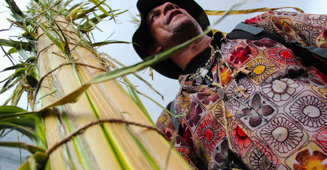 Palmeros de Chacao: así se vive la tradición que nació de una promesa
