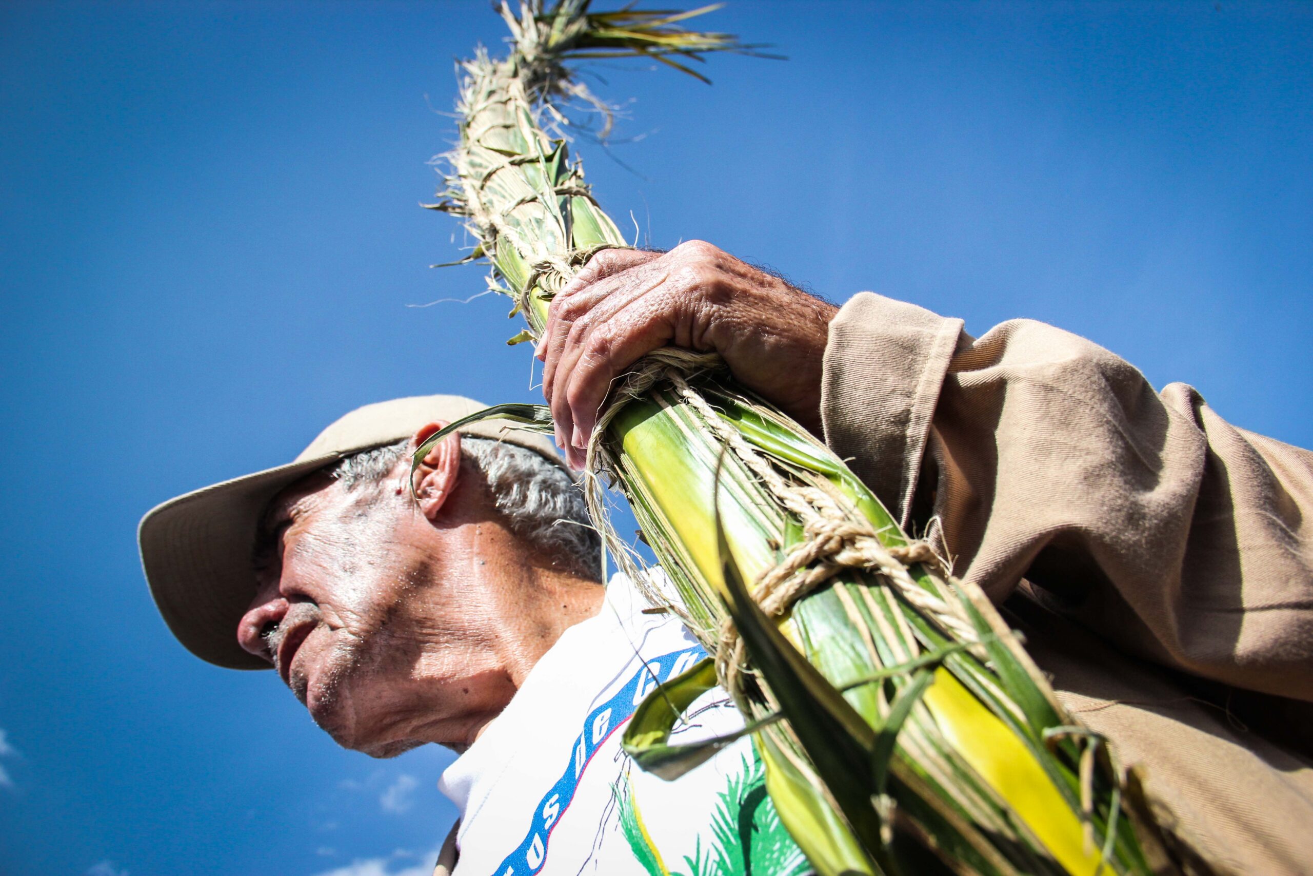 Palmeros de Chacao: así se vive la tradición que nació de una promesa