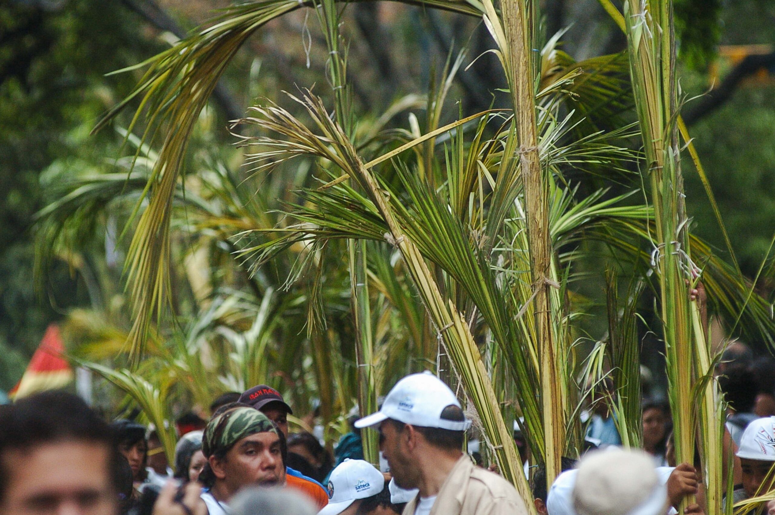 Palmeros de Chacao: así se vive la tradición que nació de una promesa