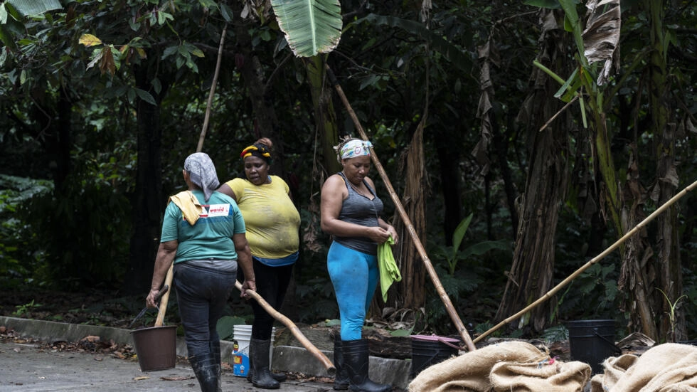 Las madres del cacao de Chuao, el otro "oro negro" de Venezuela ...