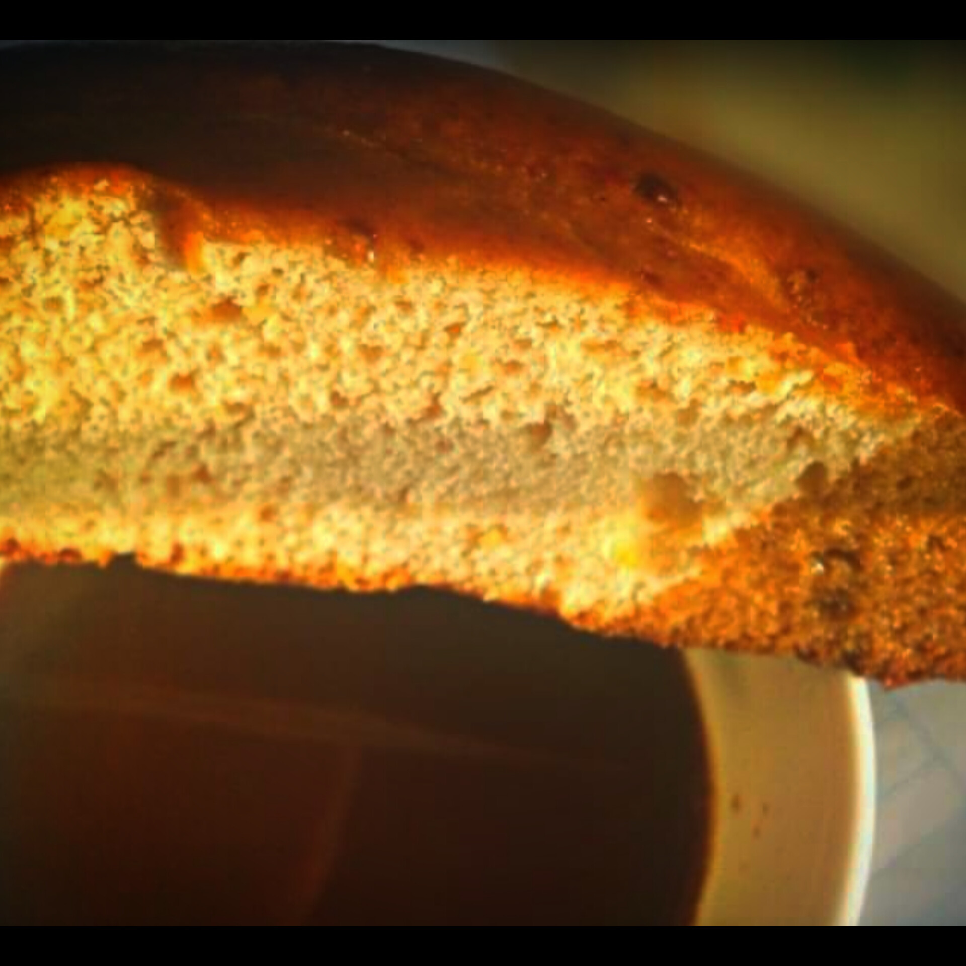 Acema tocuyana: los tropezones hacen la diferencia | Bienmesabe