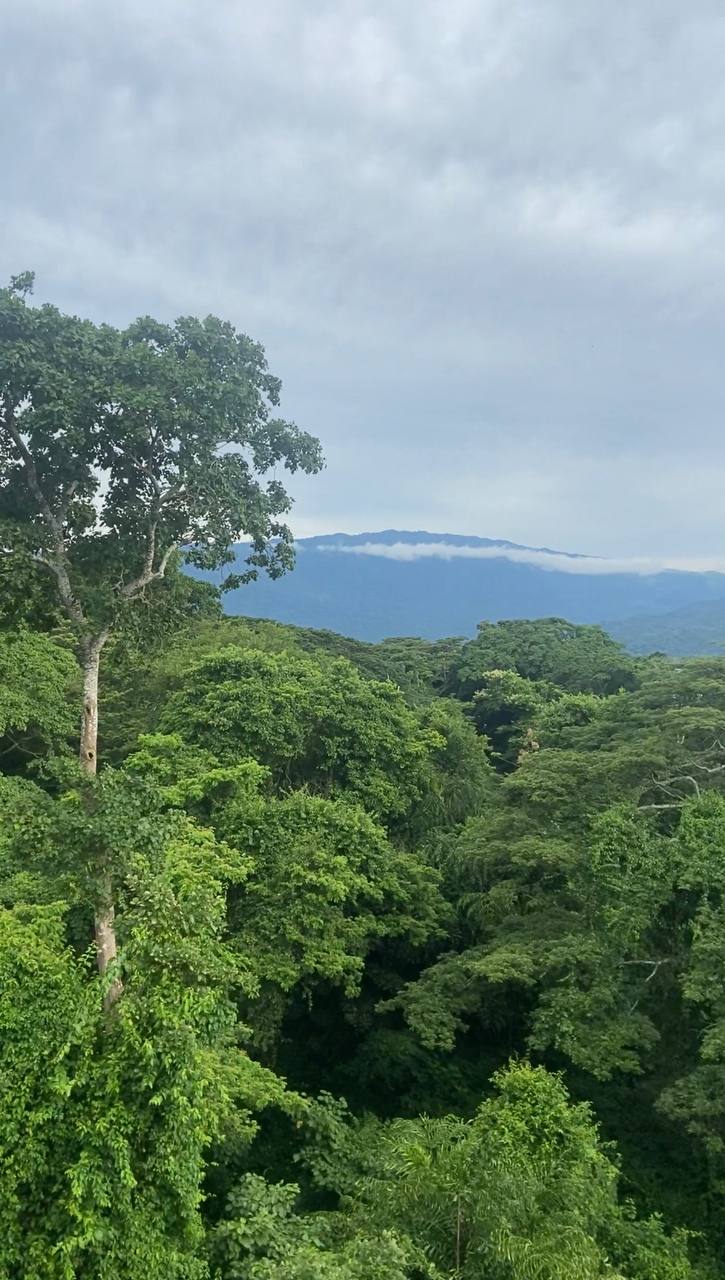 Yaracuy: estas son las razones que lo hacen más que un estado "de paso"