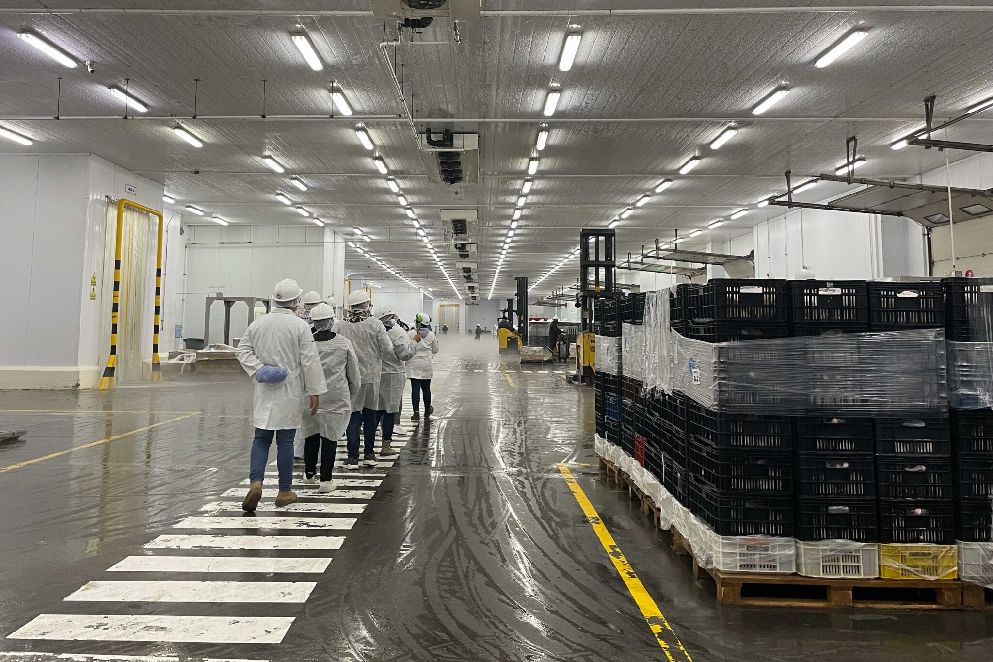 Purolomo: así se procesan los pollos y embutidos que llegan a la mesa ...