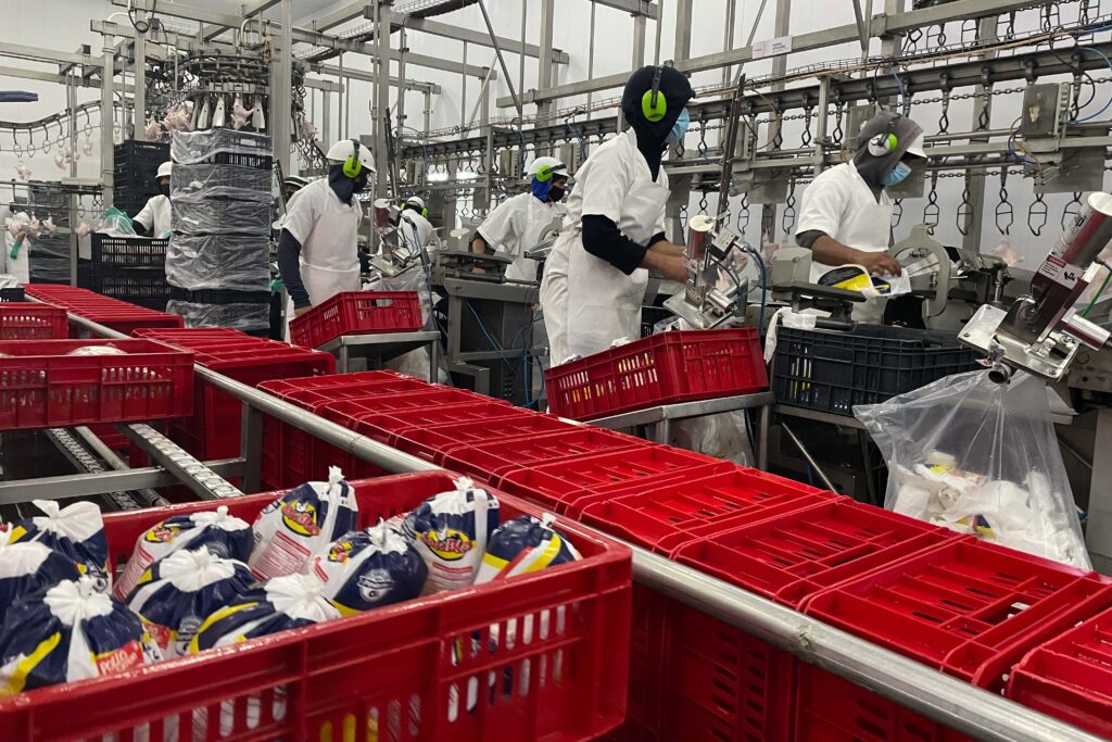 Purolomo: así se procesan los pollos y embutidos que llegan a la mesa ...