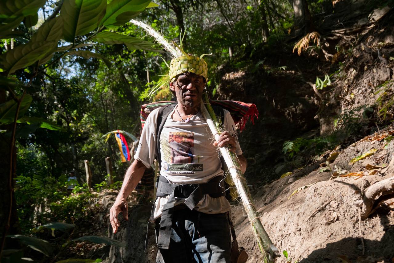 Palmeros de Chacao, la tradición se fortalece cada año | El Estímulo