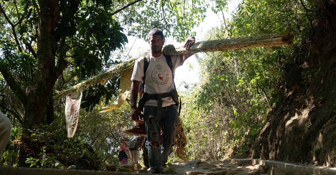 Palmeros de Chacao, la tradición se fortalece cada año | El Estímulo