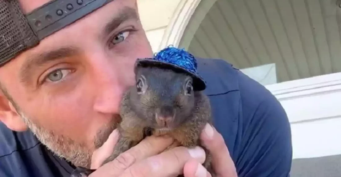 Peanut, la historia de la ardilla "influencer" que fue sacrificada en Nueva York